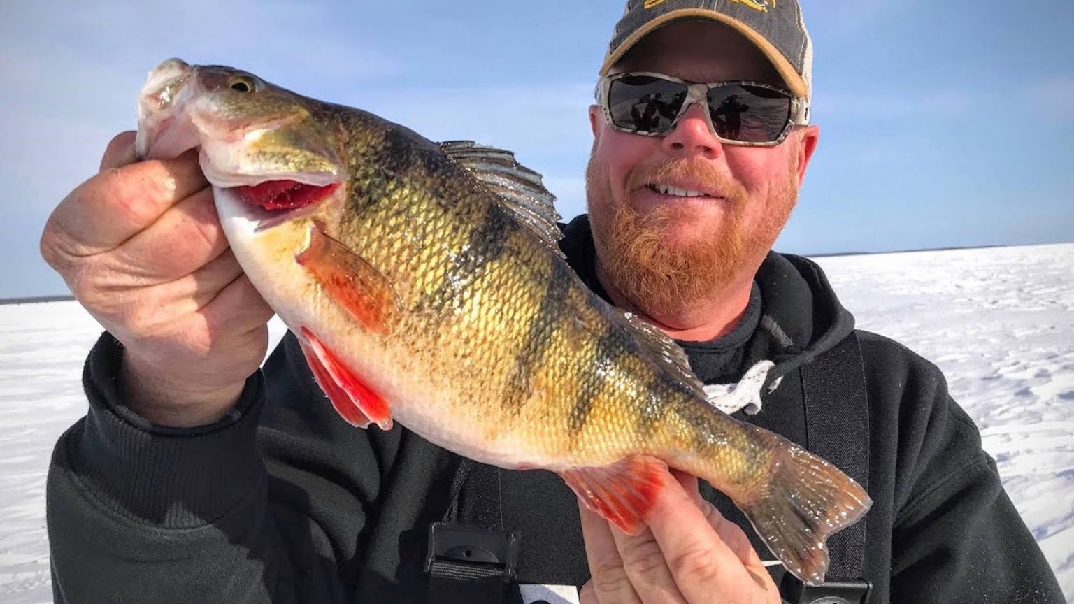 Ice Fishing Perch: The Complete Guide – Hookset.co